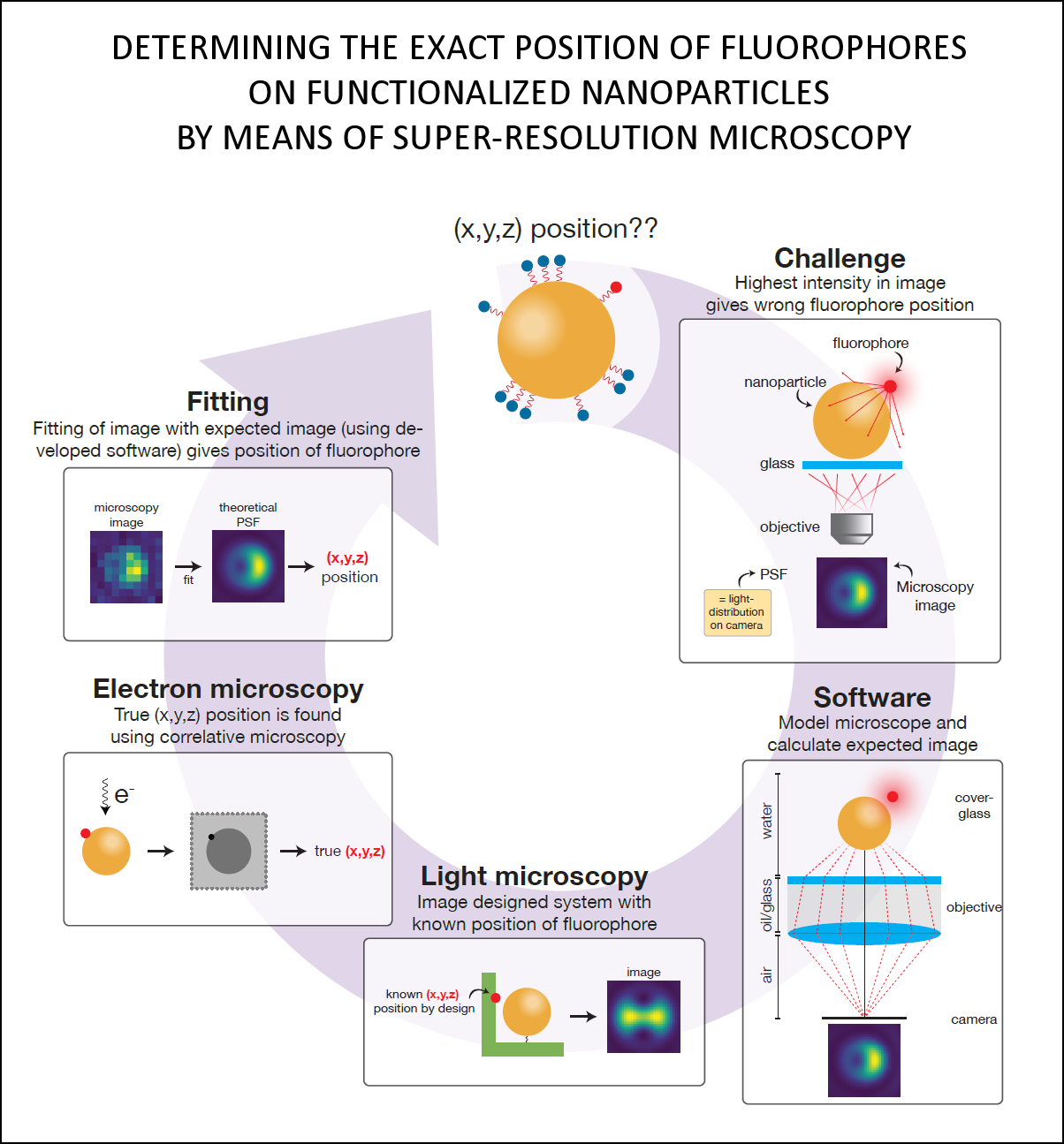 How to use super-resolution microscopy for detailed investigation of ...